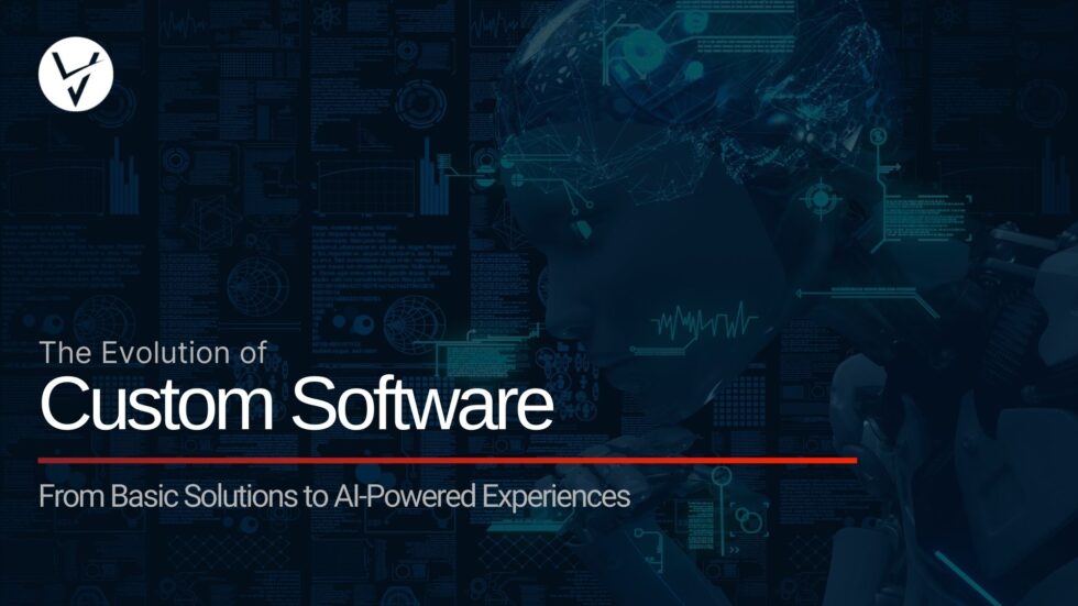 ViviScape - Custom Software Development Solutions